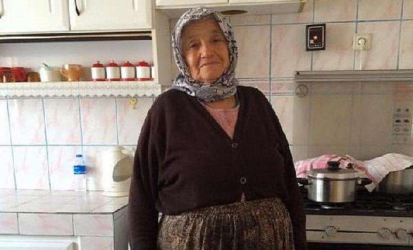 Ceviz ağacından düşen kadın öldü