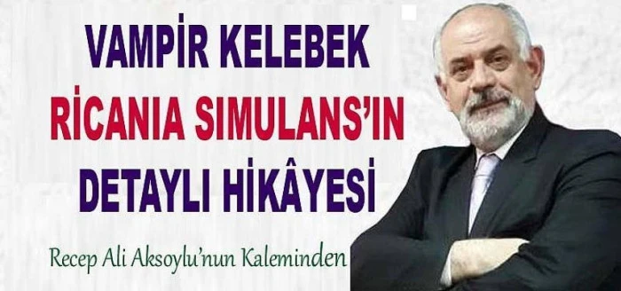 RİZE'DE VAMPİR YİNE Mİ HORTLADI.